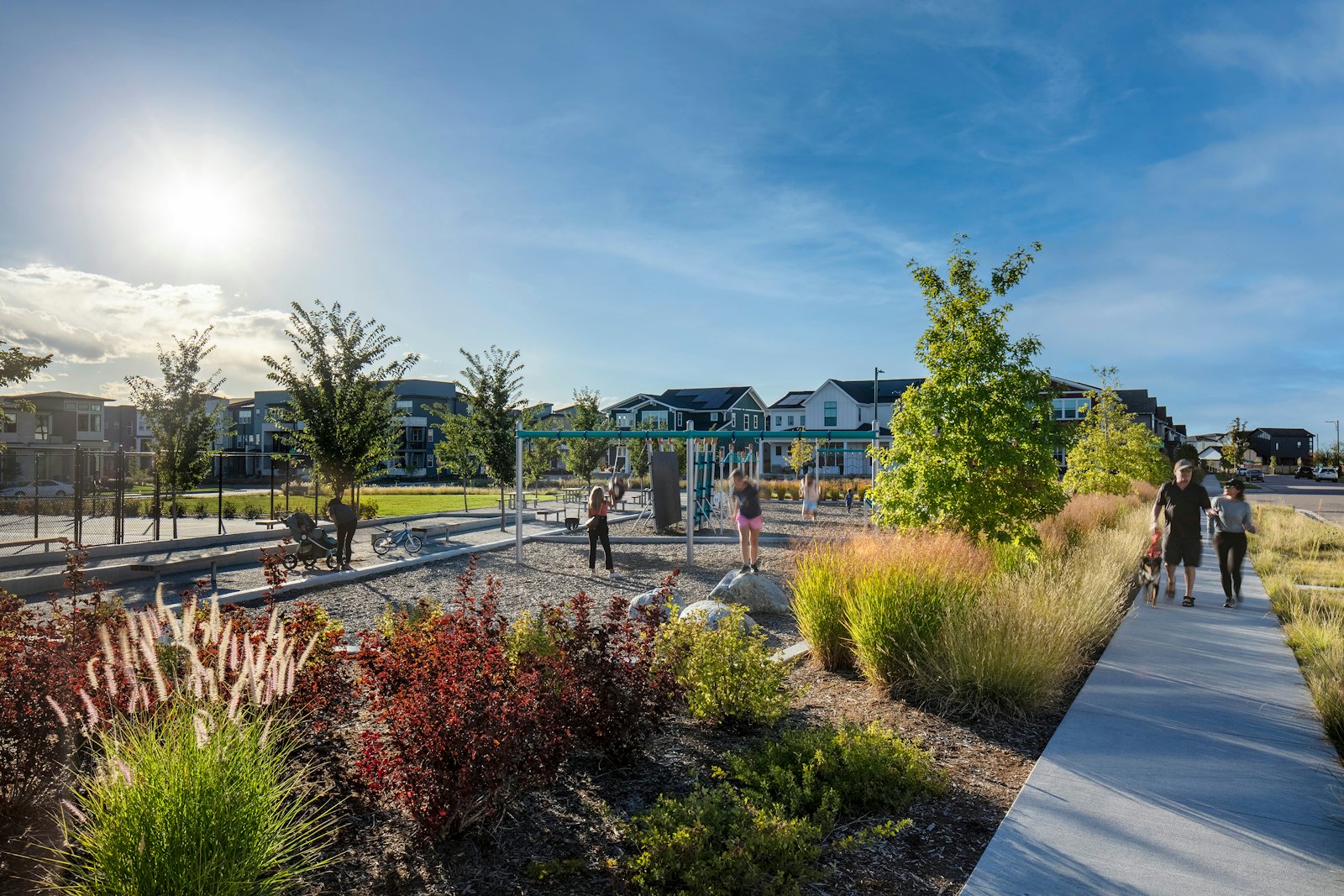 Central Park Neighborhood | Dig Studio