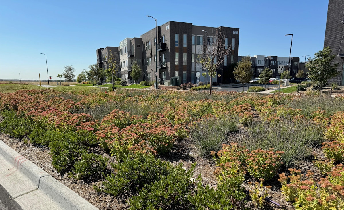 Pena Station | Dig Studio