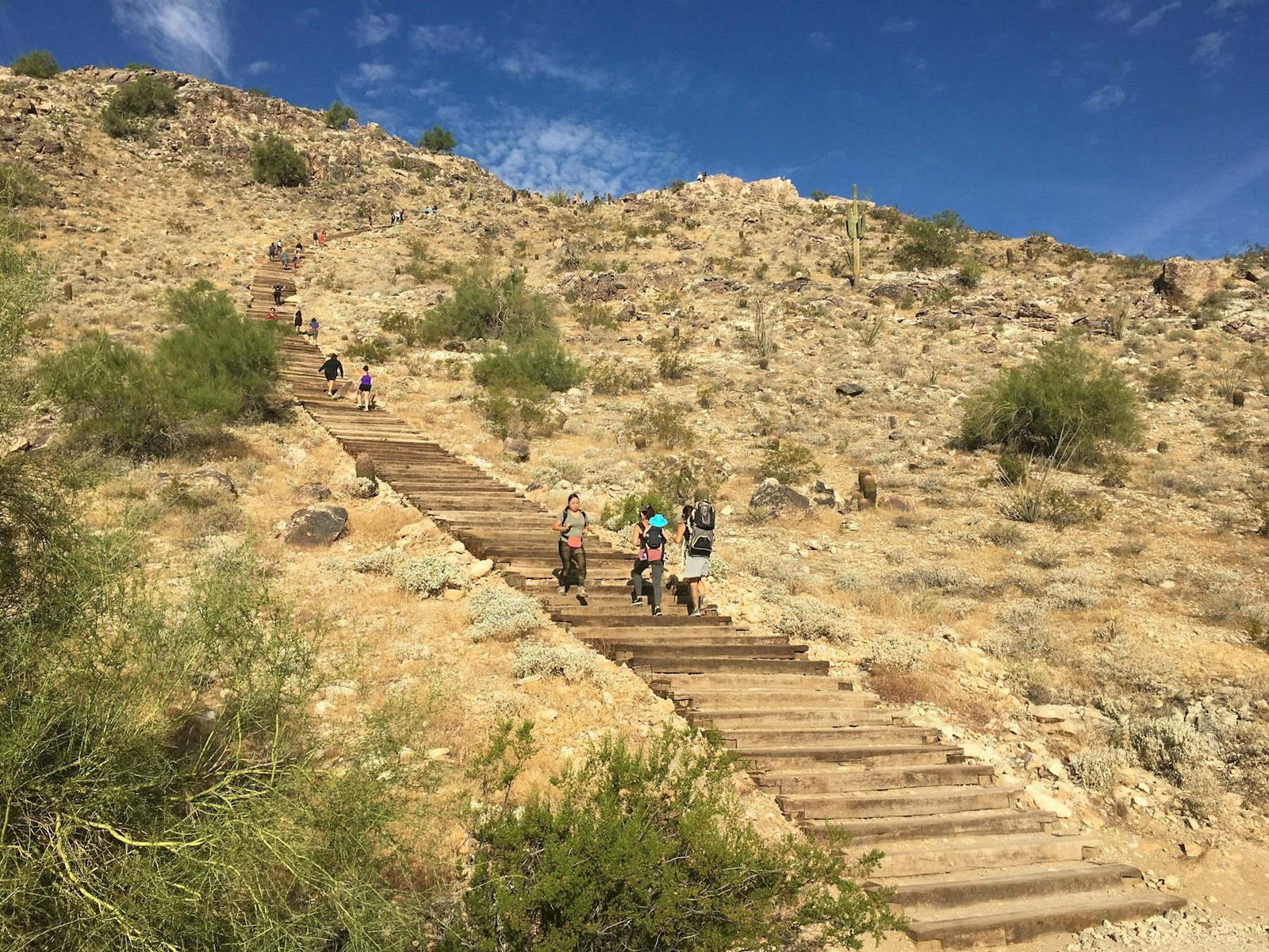 Verrado | Dig Studio